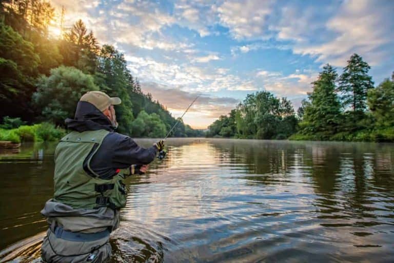 Comprehensive Guide to Starting a Fishing Hobby - Different Hobbies